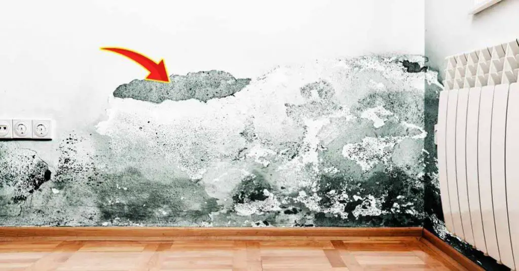 ¿Cómo reparar una pared afectada por la humedad? Un método fácil ...