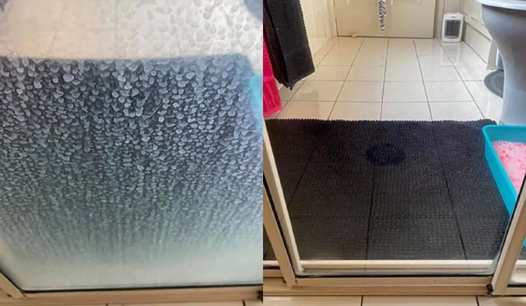 ¿Conoces este método para tener la DUCHA limpia durante mucho tiempo y ...