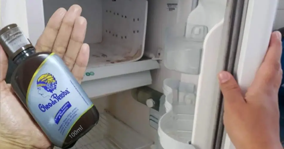 El truco genial para eliminar los malos olores de la nevera y dejar un buen perfume – Trucos ...
